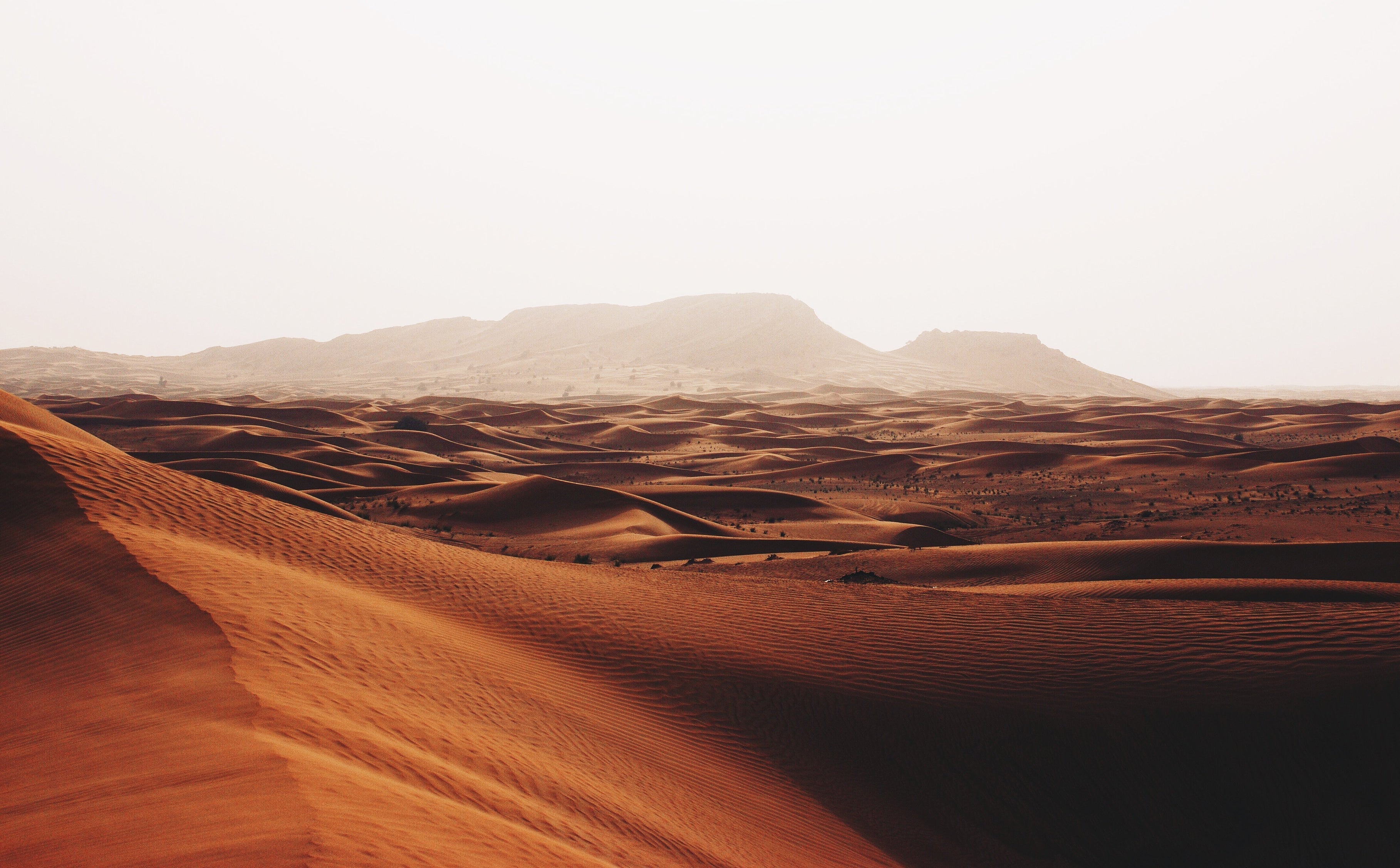 Paper Sunday Daily Devotional | Matthew 4:1 | Corrin Hallet