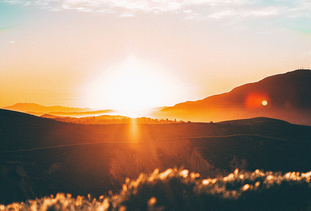Daily Devotional • Psalm 142:5